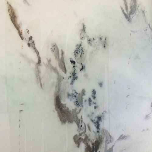 Jungle White - Grupo Pablo Mármol